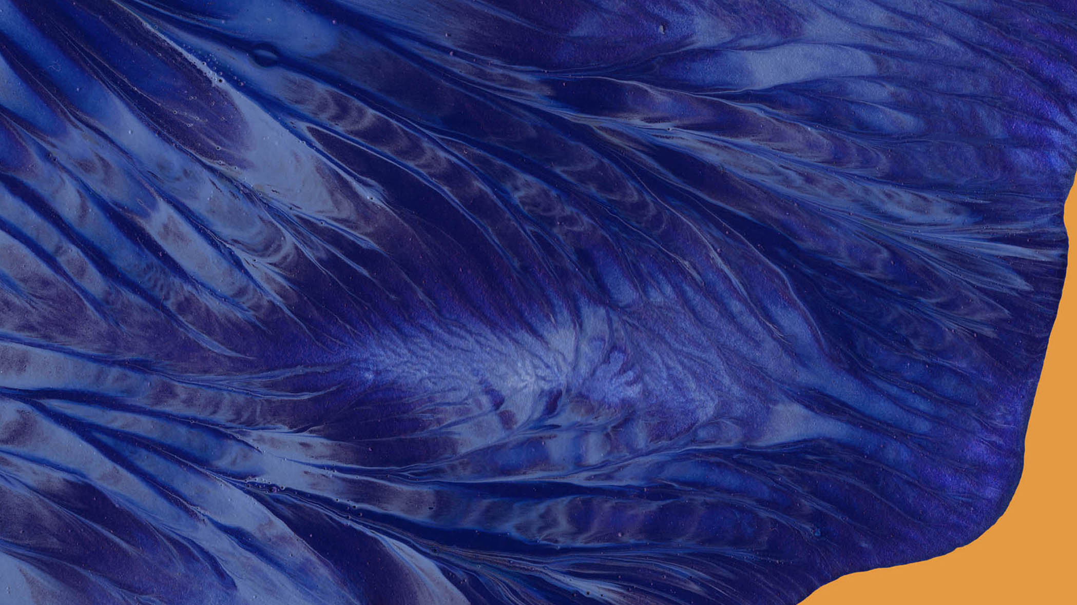 Studio Breve – A friendly graphic design studio based in London, we ...